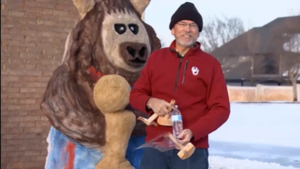Oklahoma man transforms melting snow into 10-Foot 'Rumble the Bison ...