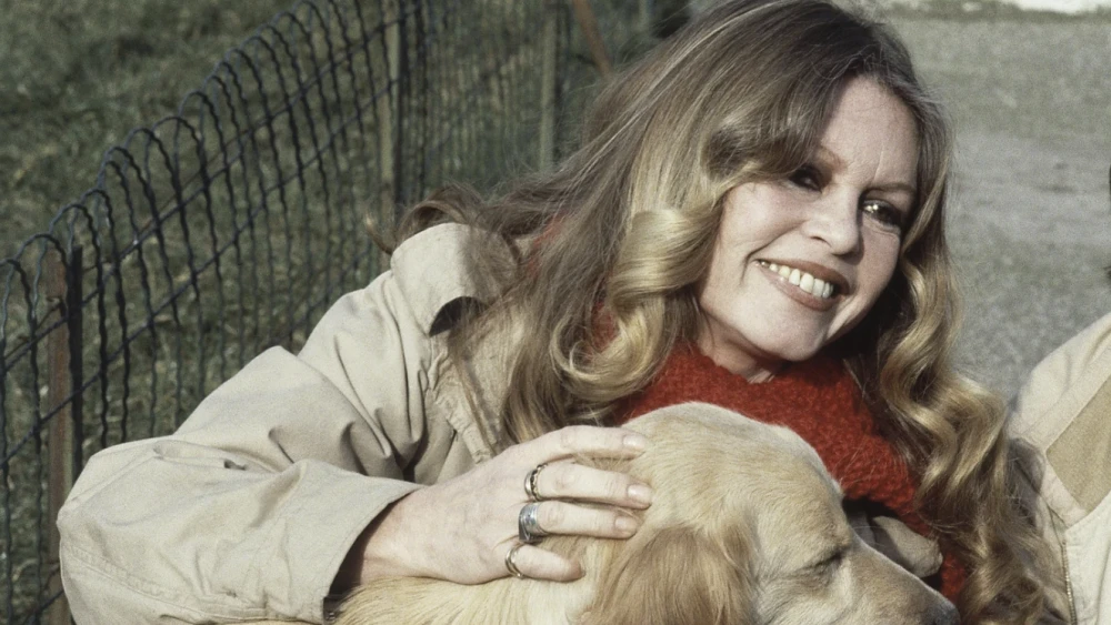 brigitte bardot interview 1960